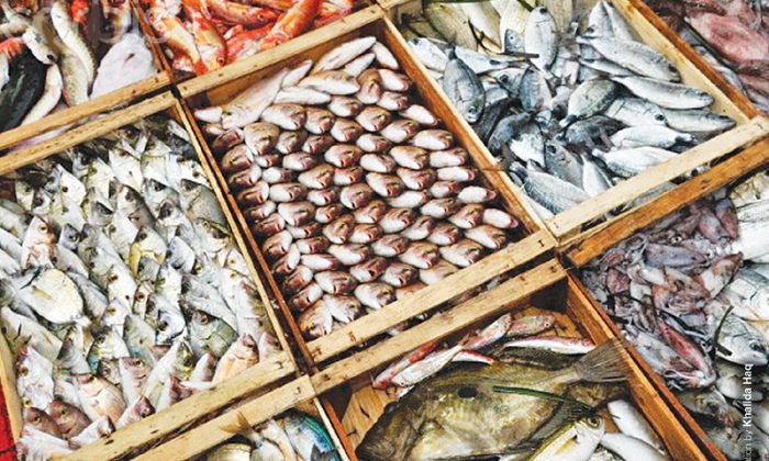 Pakistan’s fish meal exports to China topped 13,866 tons | Pakistan Today