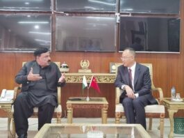 Pakistan, China for early completion of Dasu bus blast probe | Pakistan ...