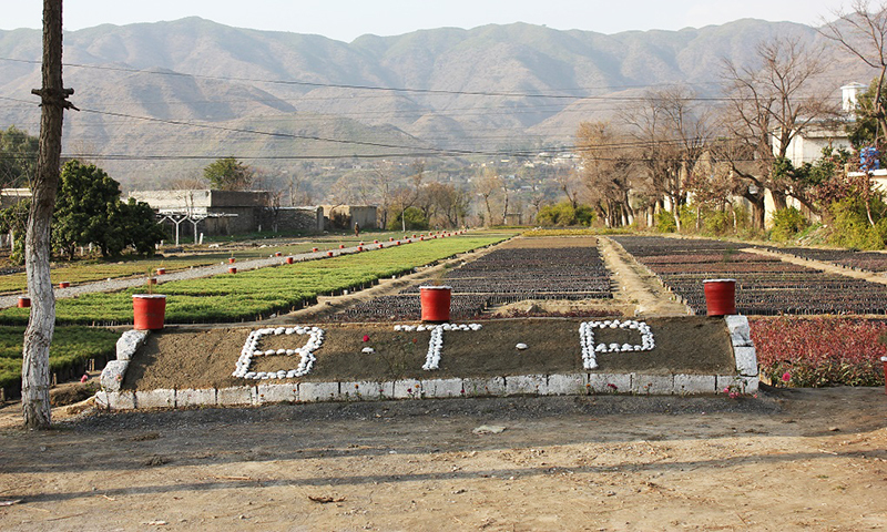 PHC directs NAB to complete inquiries into BoK, Billion Tree Tsunami ...