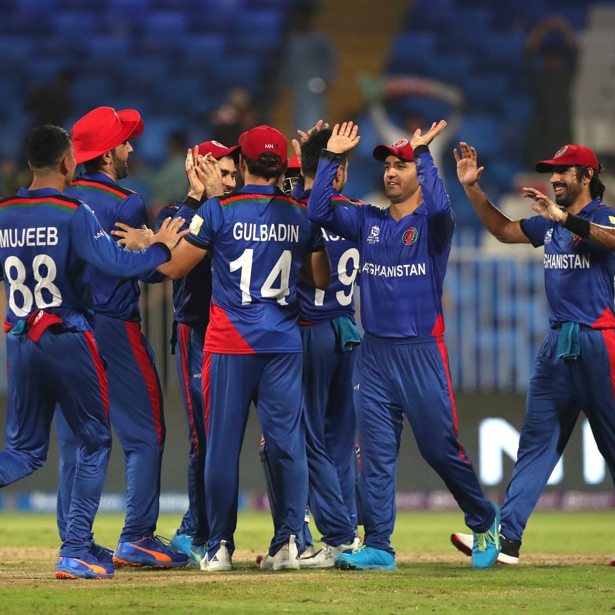 Afghanistan prove too strong for Namibia in one-sided T20 World Cup win ...