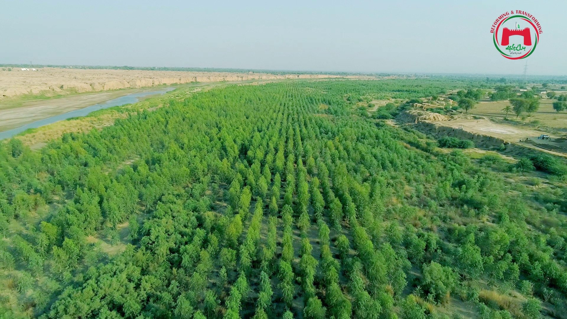 PTI’s flagship Billion Tree Tsunami project comes on NAB’s radar ...