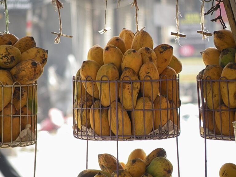 Pakistan may face dip in mango production | Pakistan Today