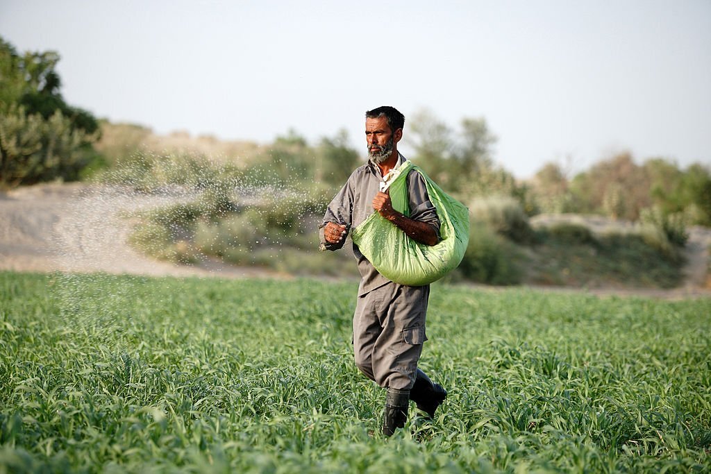 Thousand acres of desert lands transformed into cultivable farmland ...