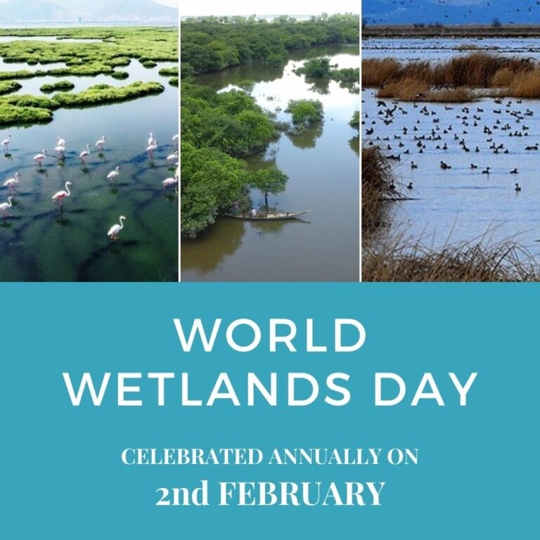 RUDA celebrates World Wetlands Day - Pakistan Today - Pakistan Today