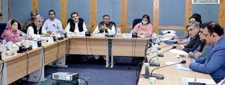 Senate Body seeks report on capacity payments to IPPs | Pakistan Today