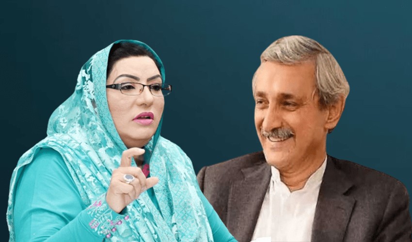 Manifesto Unveiled: IPP outlines roadmap of public service, national ...