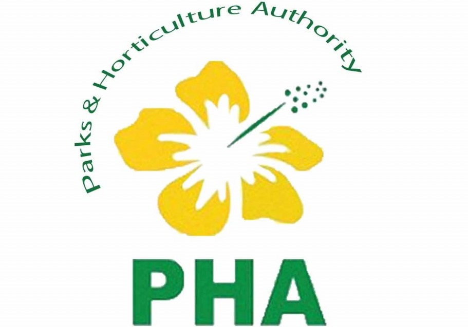 PHA begins work to give The Mall a facelift ahead of winter | Pakistan ...