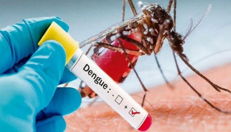 36 new dengue cases reported in Lahore | Pakistan Today