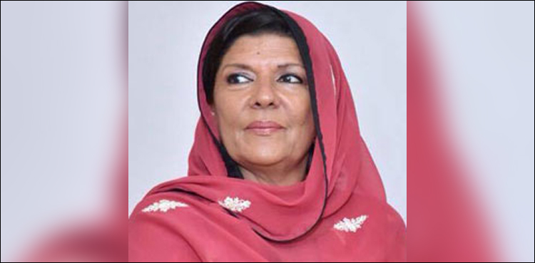 Sharif’s election victory claim ‘insult to Pakistanis’: Aleema Khan ...