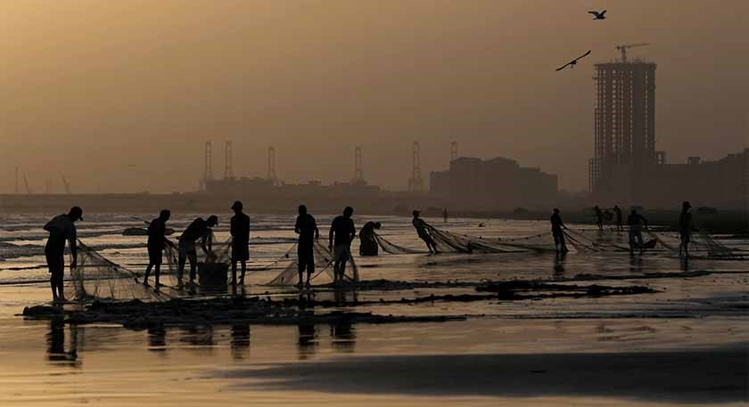 Rare fish worth millions caught by Keti Bandar fishermen | Pakistan Today