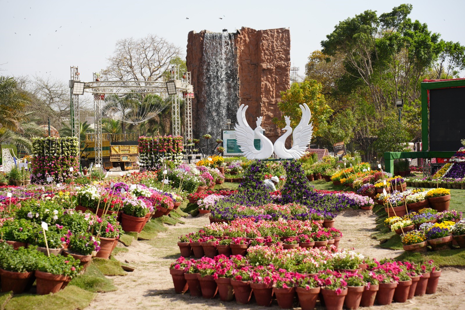 ‘Colours of Spring’: PHA opens exhibition for floral enthusiasts at ...