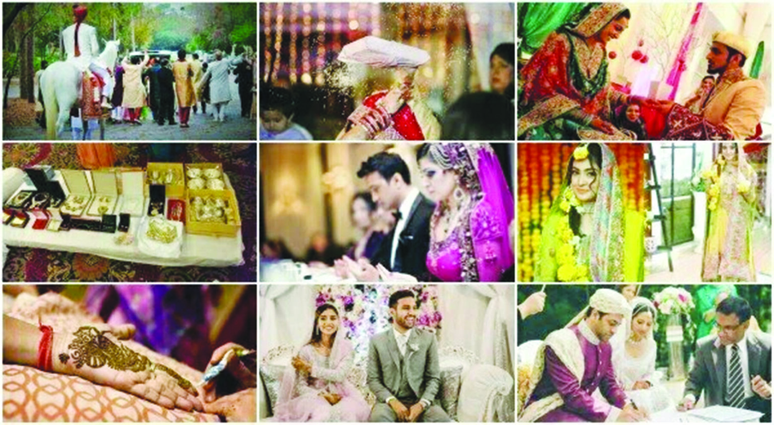 In praise of shendi and shalima | Pakistan Today