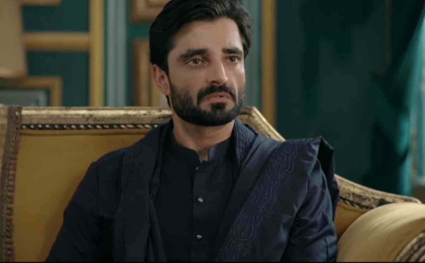 I aspire to be an alpha male like Shehram: Hamza Ali Abbasi | Pakistan Today