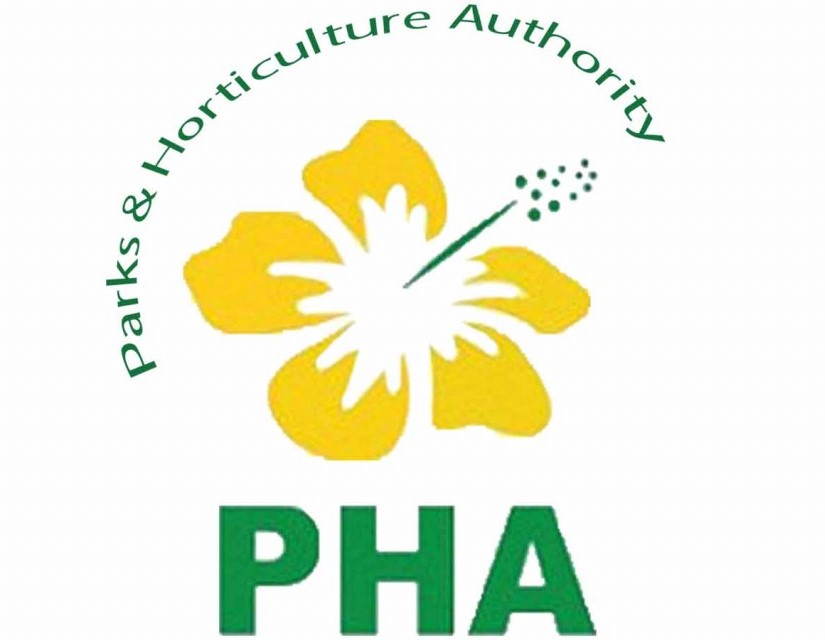 Lahore PHA on course for digitising revenue generation: DG | Pakistan Today