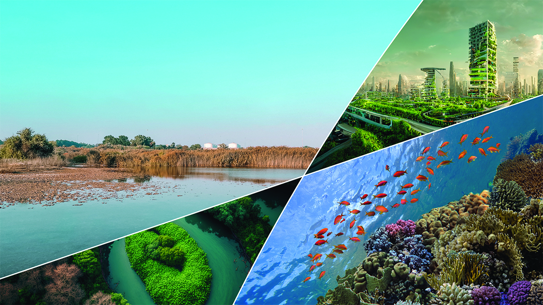 Greening the future | Pakistan Today