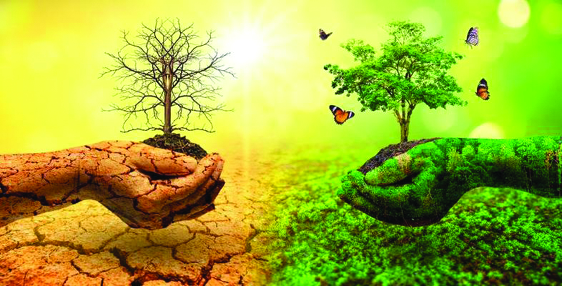 Climate change is here: What Sindh can do now! | Pakistan Today