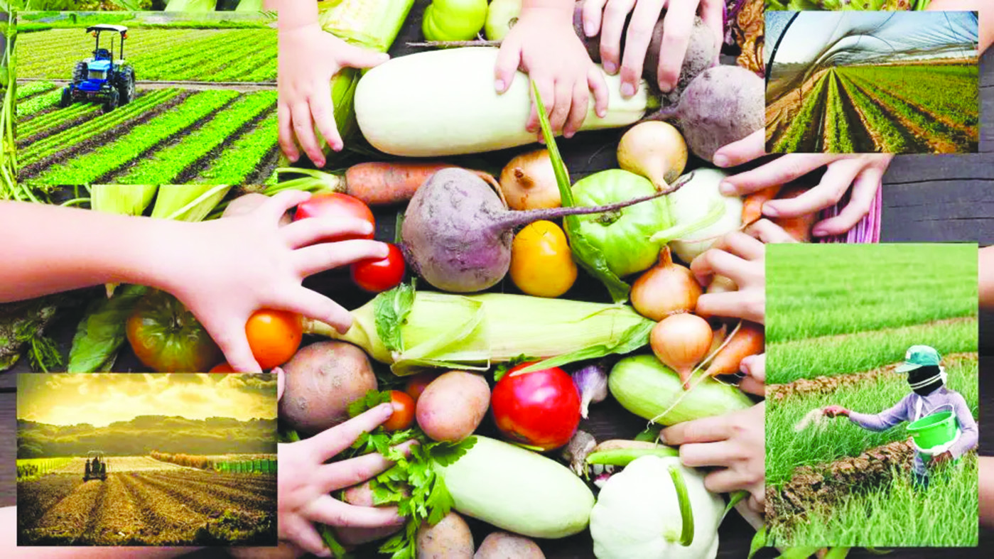 Will Pakistan achieve food security through global partnerships ...