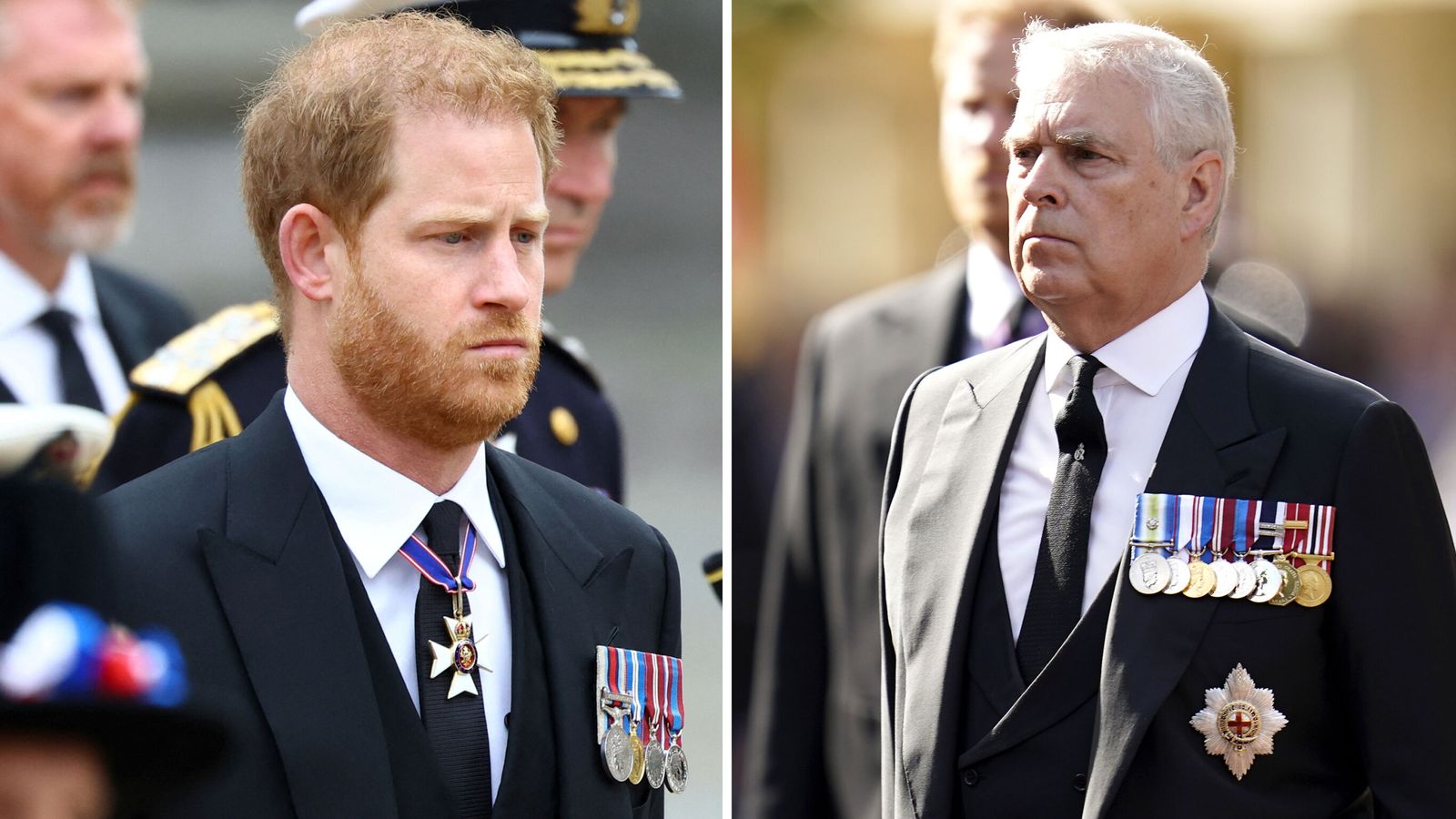 Prince Harry And Andrew Receive Some Good News From Buckingham Palace ...
