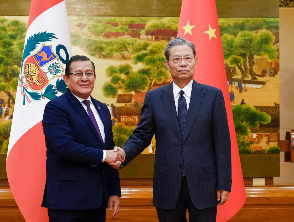 China’s top legislator holds talks with Congress of Peru president ...
