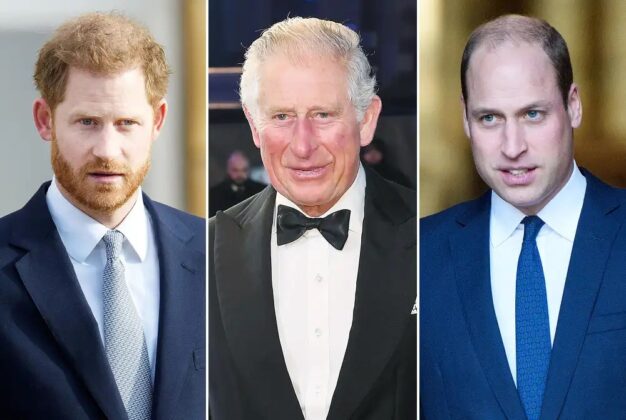 Prince William and Prince Harry Face Tough Decisions Amid King Charles ...