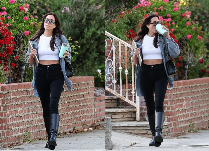 Ines de Ramon Spotted In Public For First Time Since Brad Pitt Marriage ...