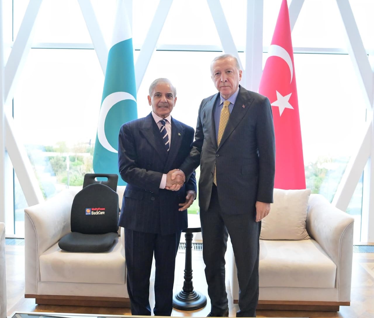 Pakistan, Turkiye vow deeper strategic partnership as PM pushes ...
